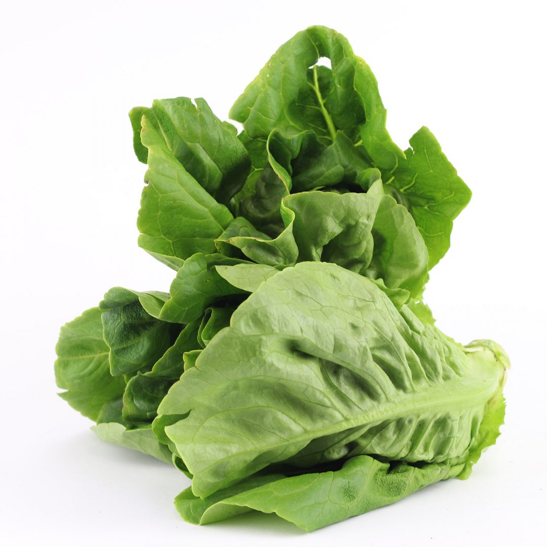 Little Gem Lettuce | The Veg Box Company