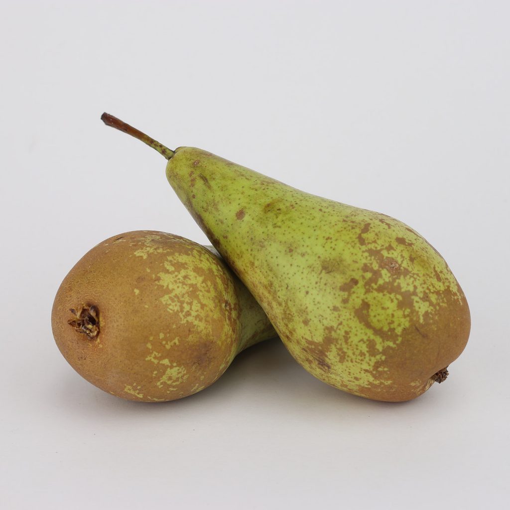 Conference Pears | The Veg Box Company